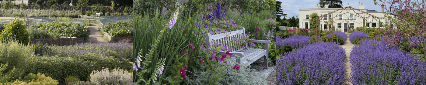 Visit Airfield Estate Dublin | Gardens of Ireland